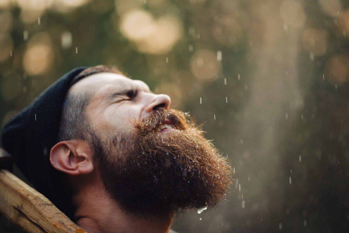 La barbe du barbu | Brigitte Bédard | CULTURE | Le Verbe